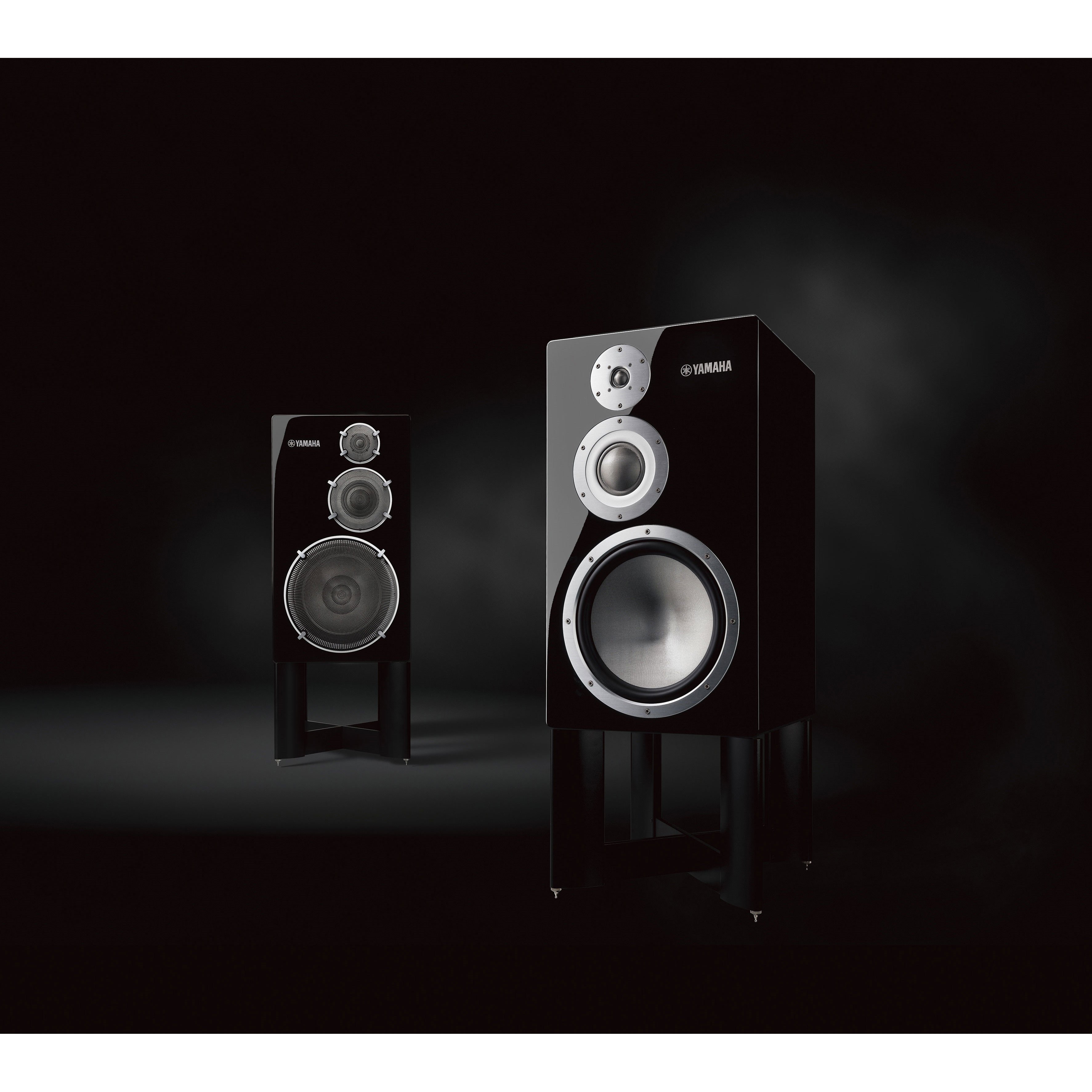NS-5000 - Overview - Speakers & Subwoofers - Home Audio - Products ...