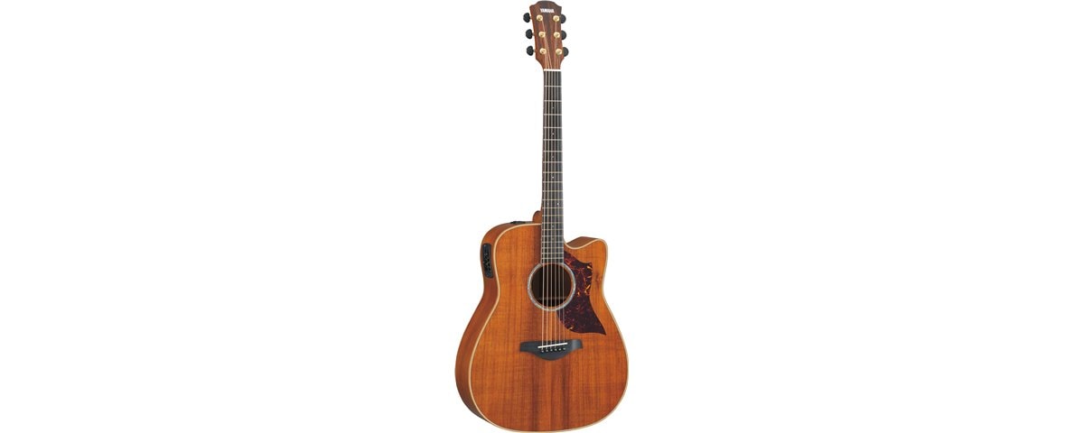 A4K - Overview - A Series - Acoustic Guitars - Guitars, Basses & Amps ...