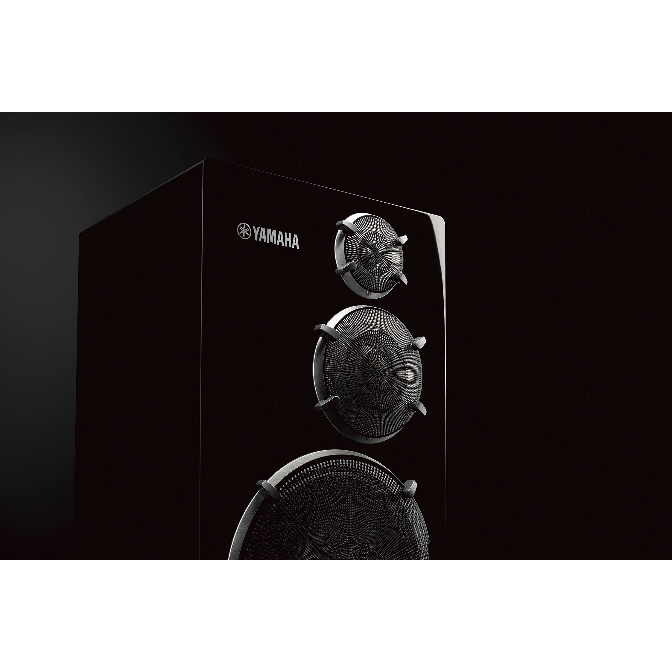 NS-5000 - Overview - Speakers & Subwoofers - Home Audio - Products ...